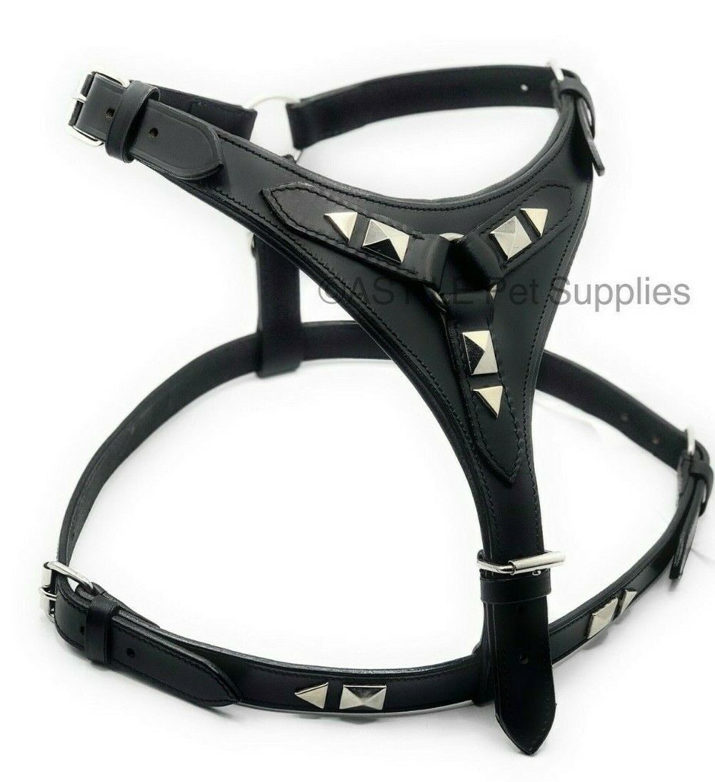 Studded Leather Dog Harness – Padded Leather Harness for Big Dogs – Autumnn